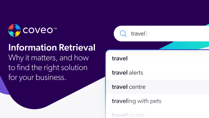 information retrieval services