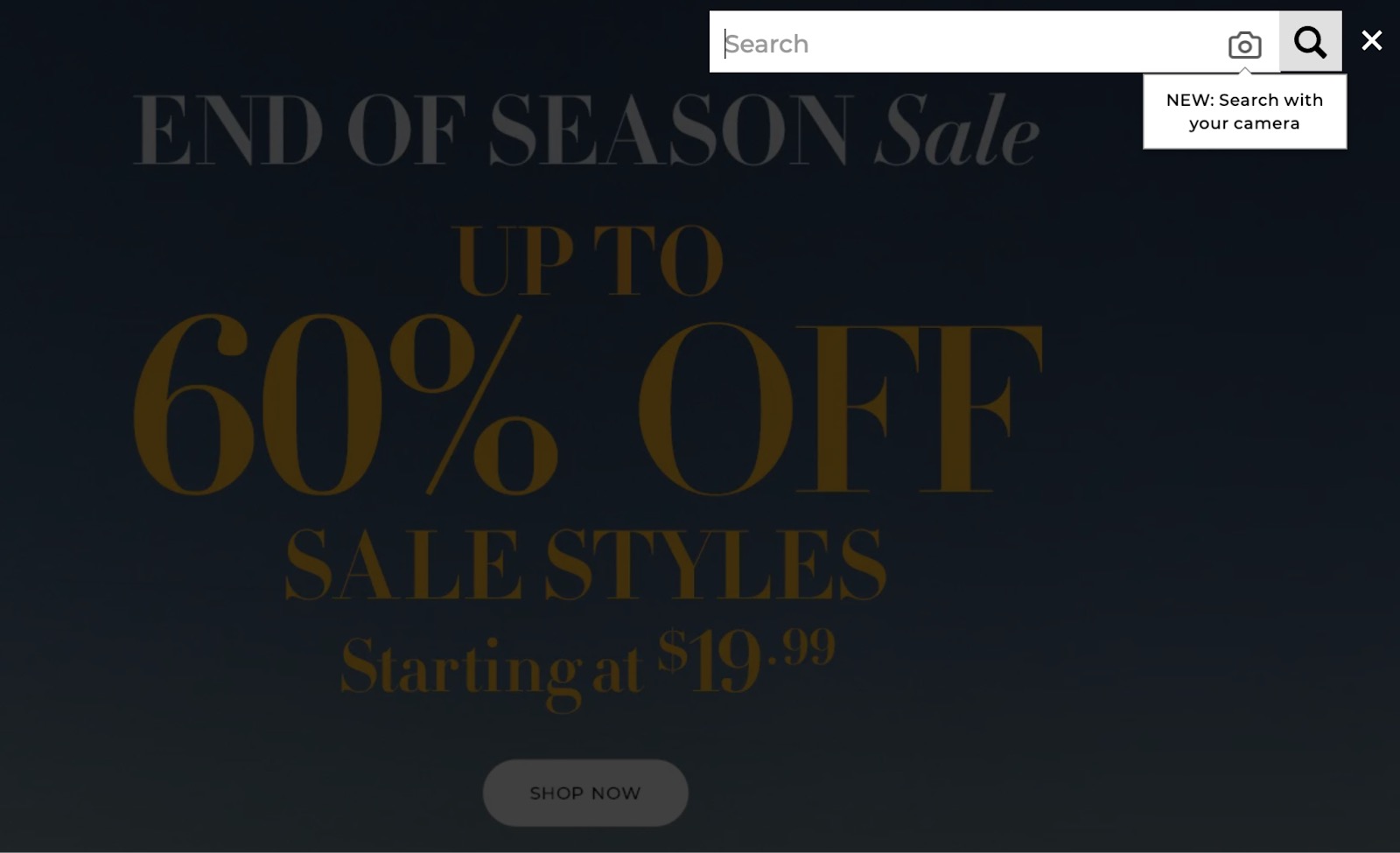 The Ultimate Guide to Visual Search in Ecommerce